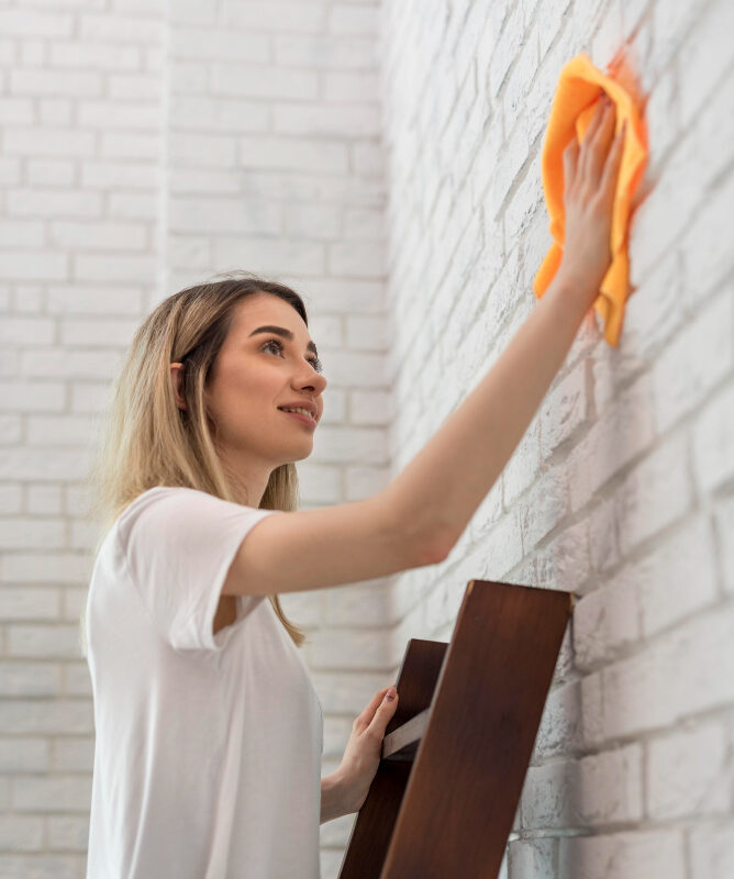 Safe Chemicals for Soft Washing: The Ultimate Guide
